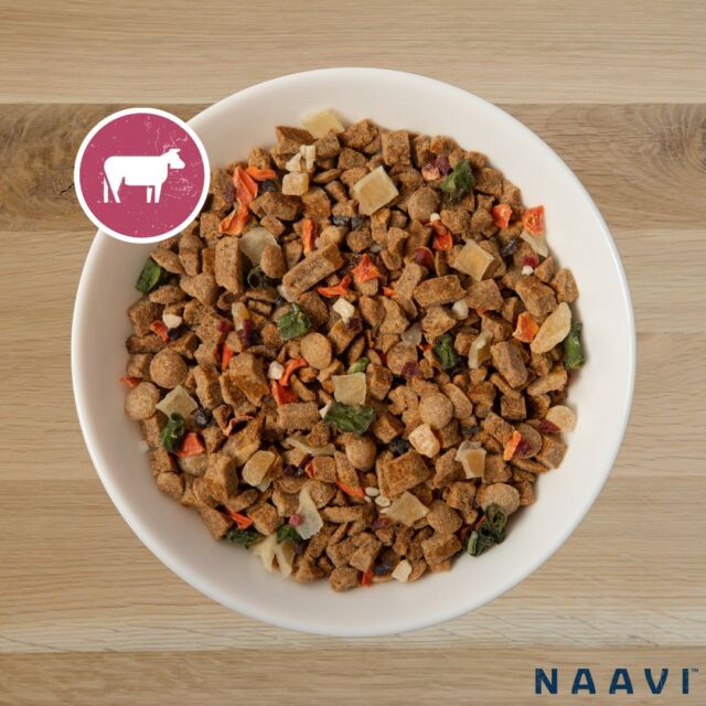 Contact Naavi - We're Here to Help