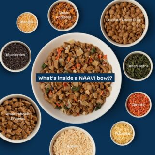 Contact Naavi - We're Here to Help